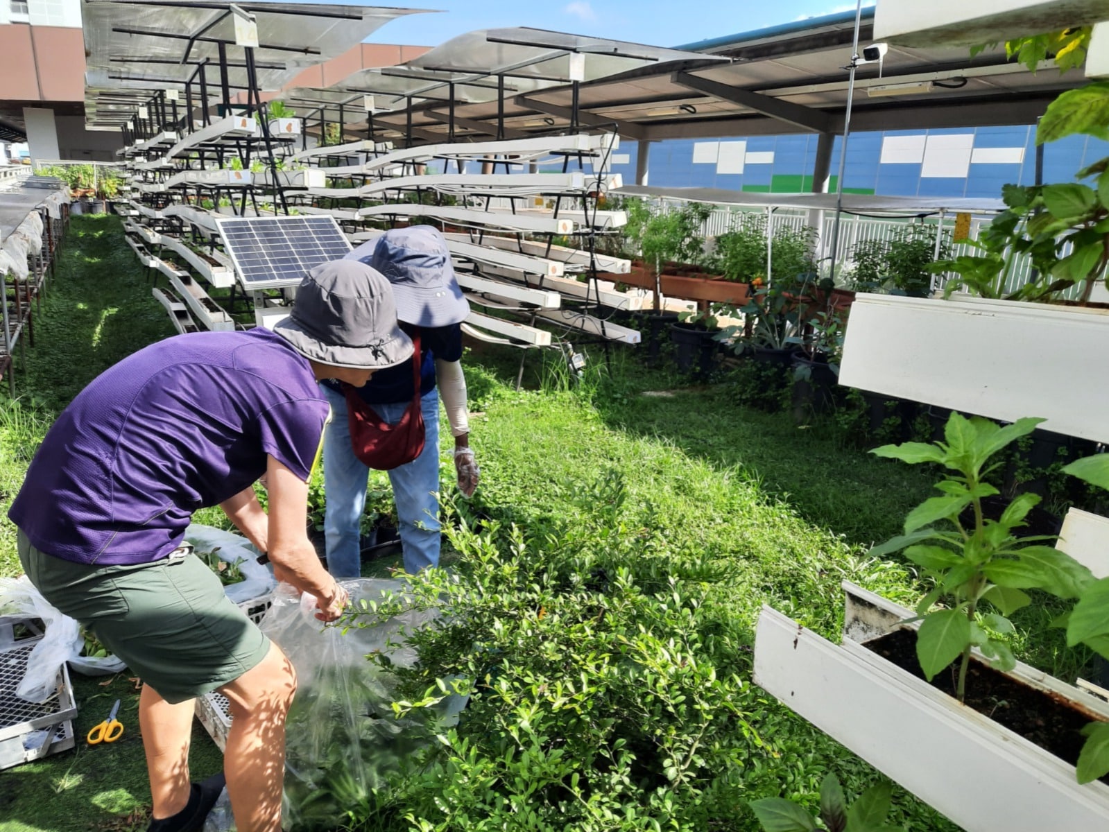 “Every seed we plant and person we touch reflects God’s love”: She ...
