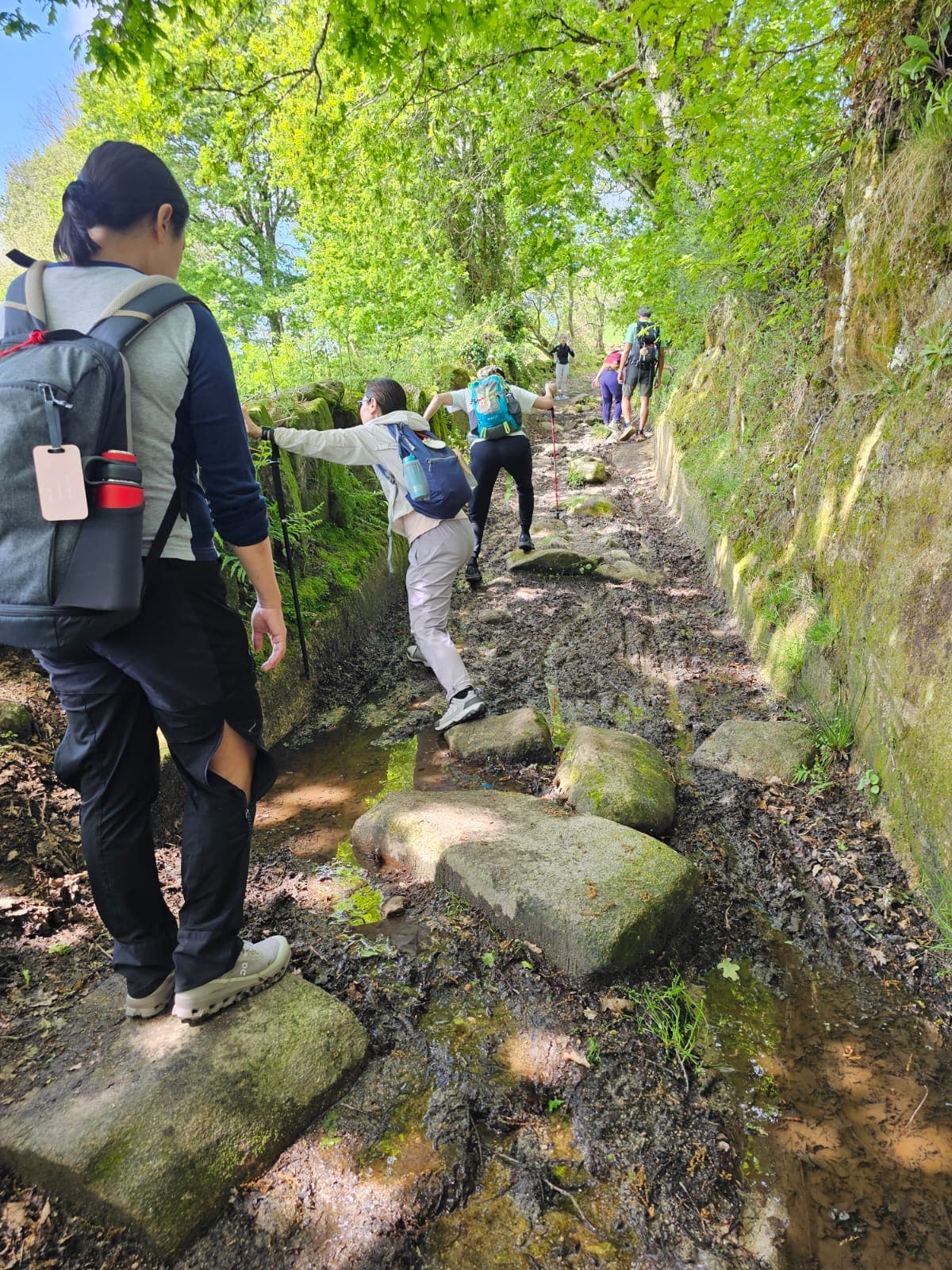 The Camino de Santiago: A walk through the fragrance of God's presence ...